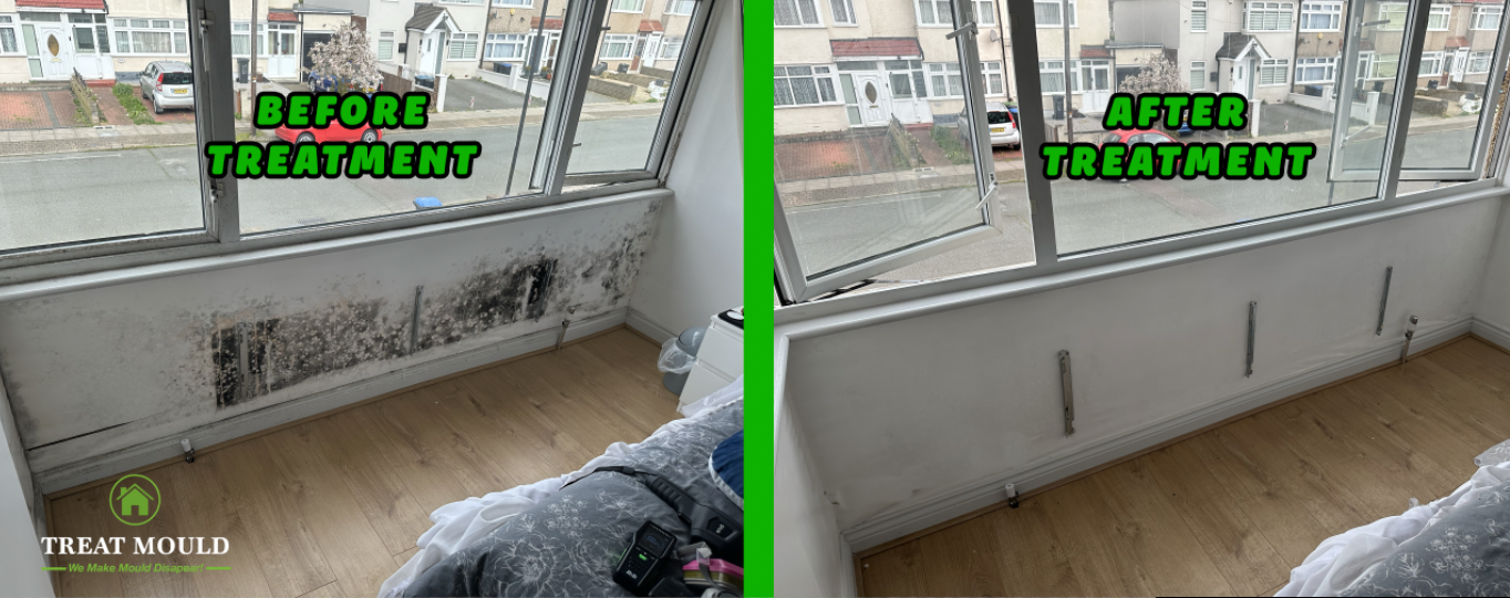 TREAT MOULD | Effective House Mould Treatment - Safe Mould Removal