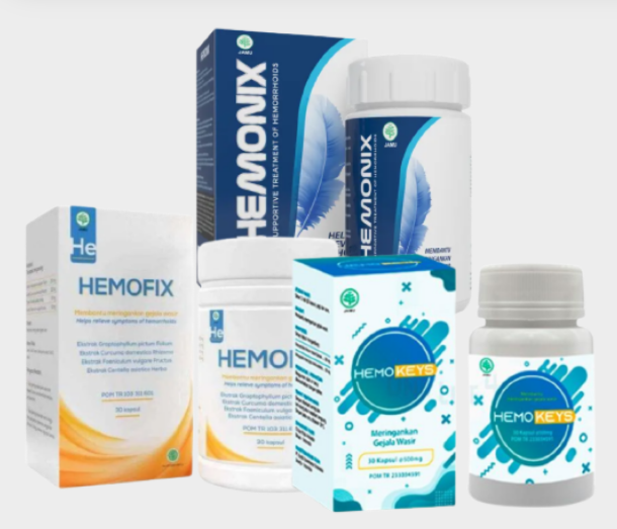 Pendekatan komprehensif untuk kenyamanan Anda dengan kapsul Hemofix ...